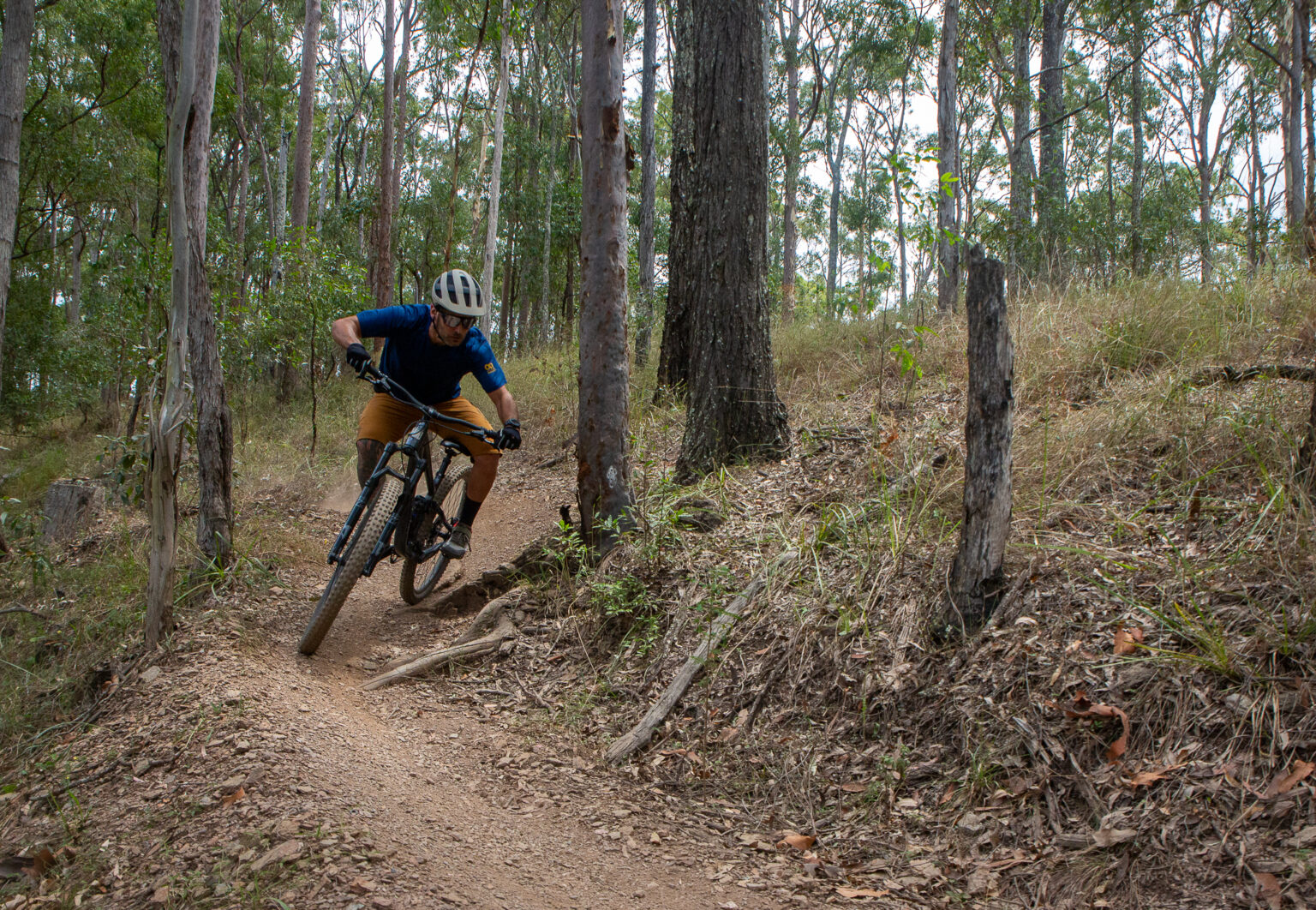 Ironbark Gully – Bicycle Queensland