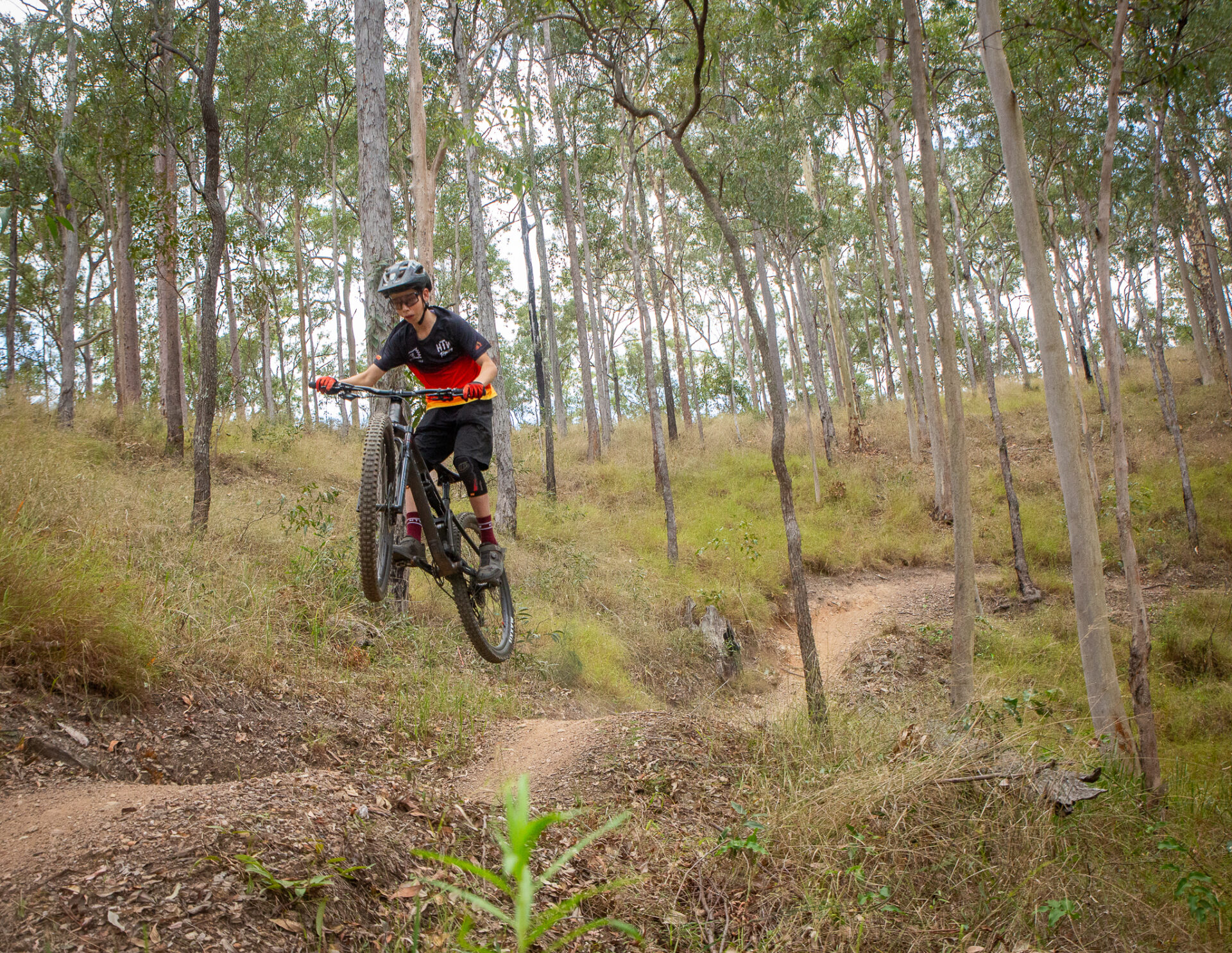 Best bike adventures using Queensland’s 50c fares – Bicycle Queensland