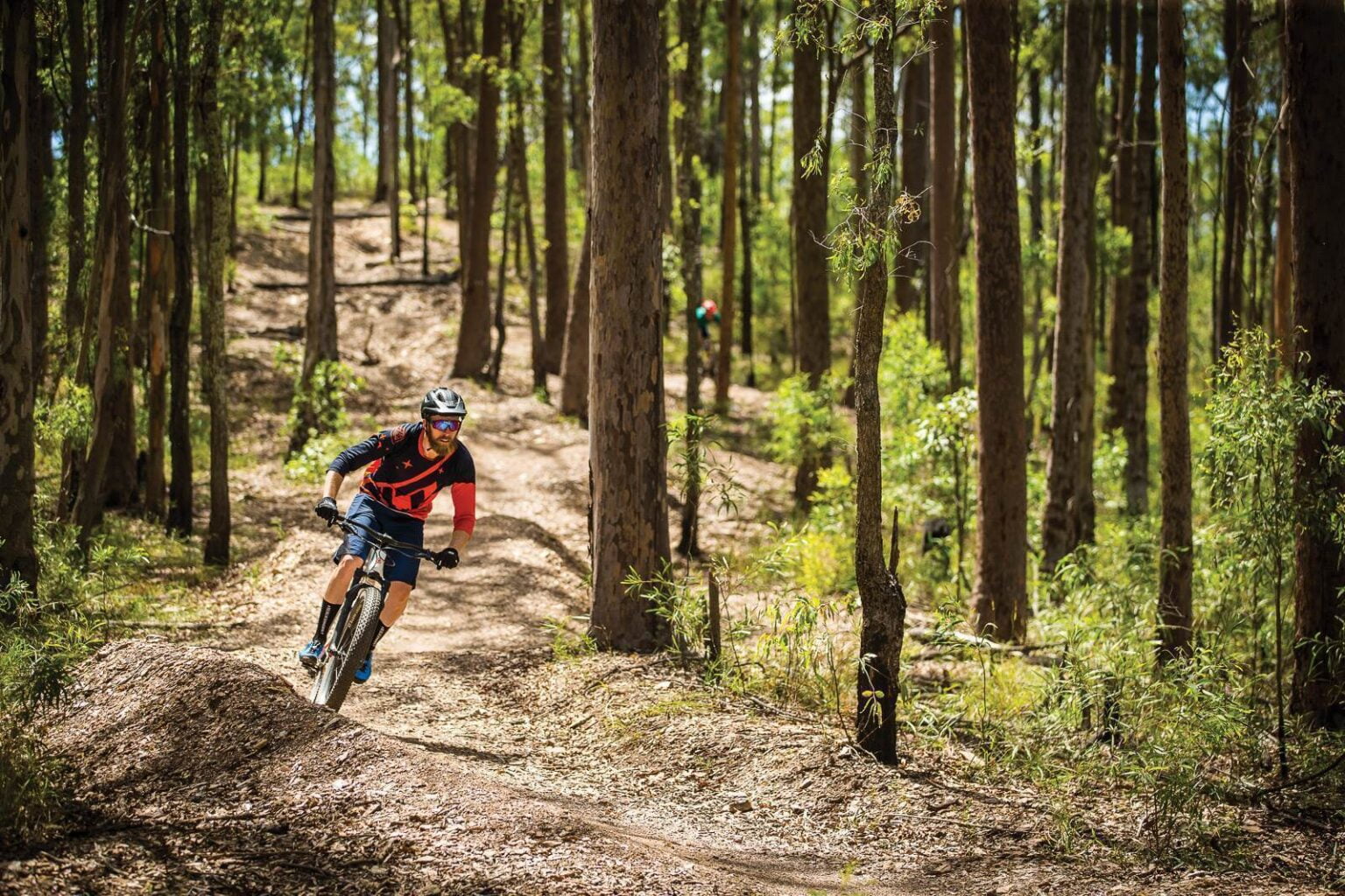 Ironbark Gully – Bicycle Queensland