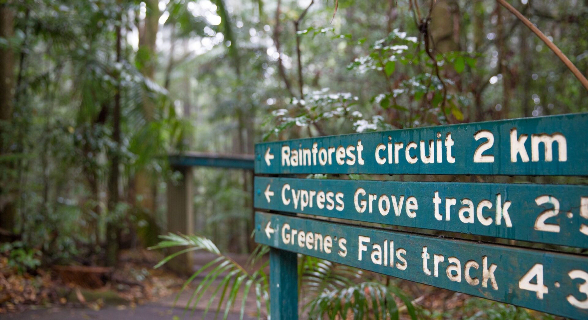 The Gap to Mt Glorious – D’Aguilar Range – Bicycle Queensland