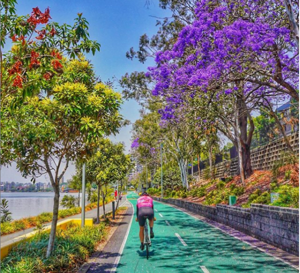 Brisbane River Loop – Bicycle Queensland
