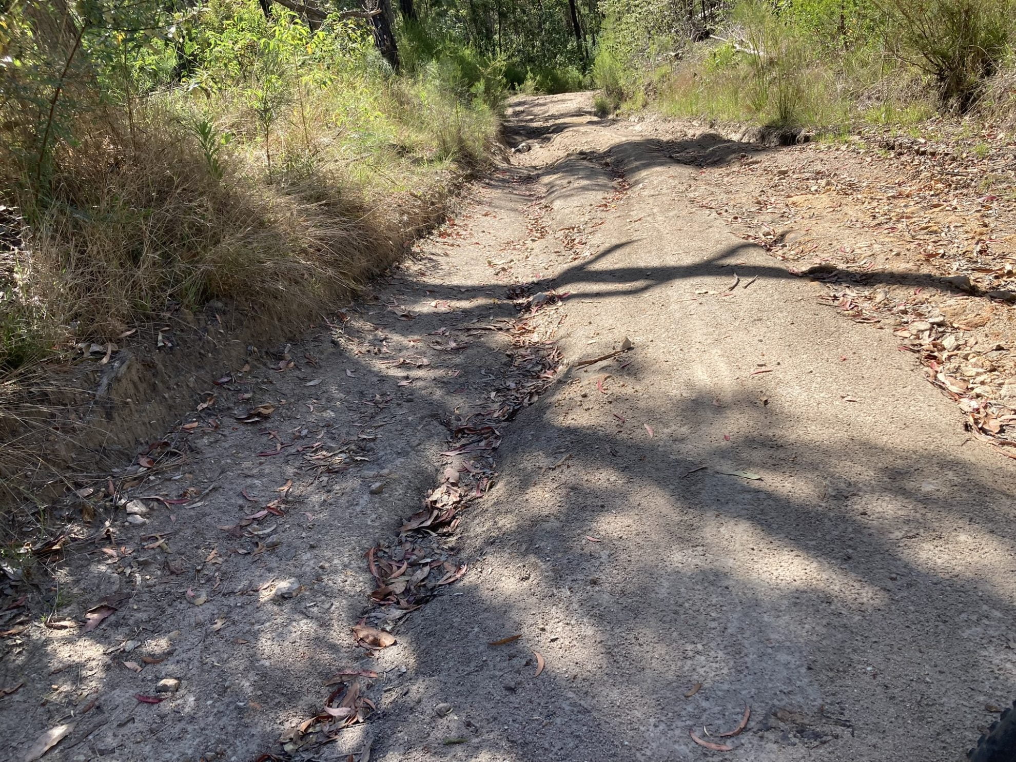 Crows Nest scenic gravel loop – Bicycle Queensland