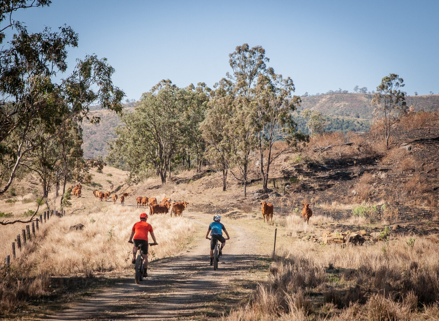 Bicycle Queensland welcomes $3.5 million boost for regional rail trails ...