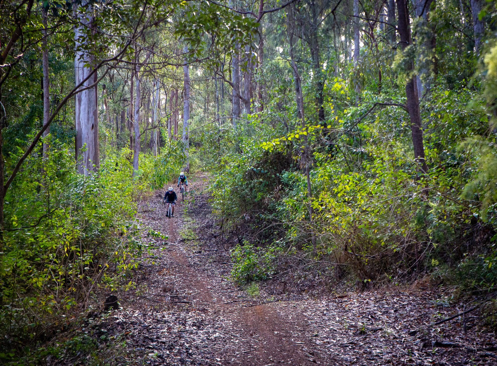 Ferny Grove to Wulkuraka – Bicycle Queensland